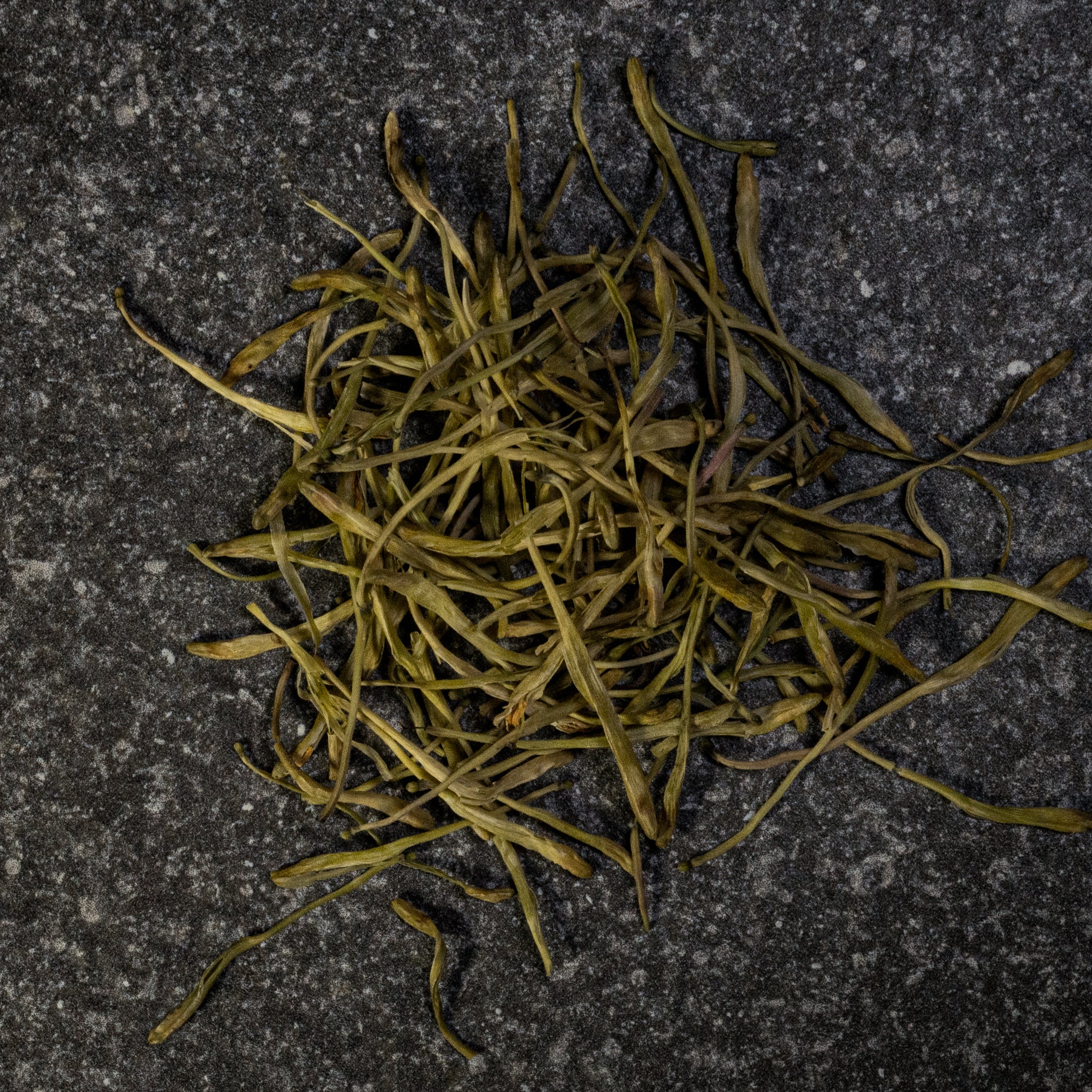 Honeysuckle - Somage Australia